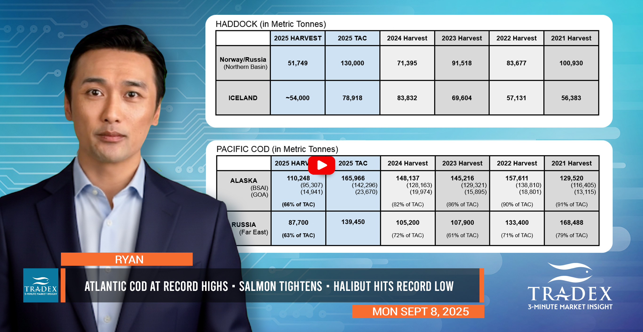 3MMI - Q4 Market Tightness: Atlantic Cod Record Highs, Salmon Tightens, Halibut Record Lows